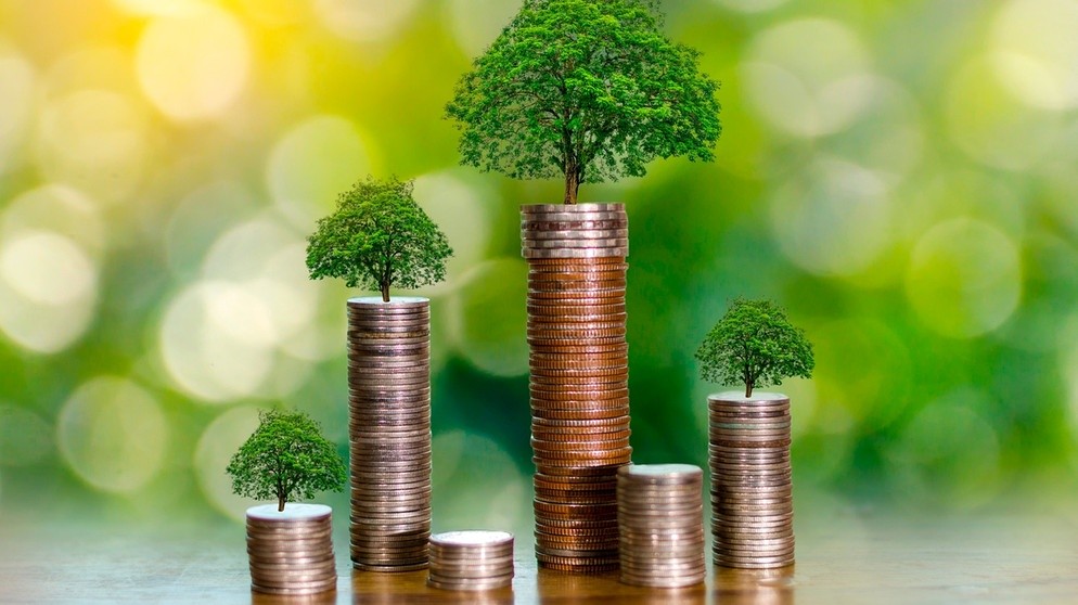 Grüne Investitionen - Das müssen Sie wissen - Kredit Karte Mojo